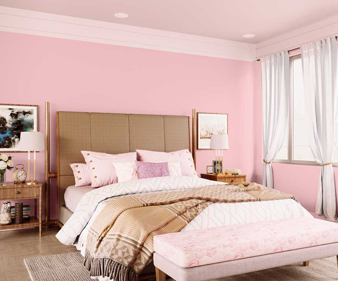 Rose Debut 8082 House Wall Painting Colour Asian Paints