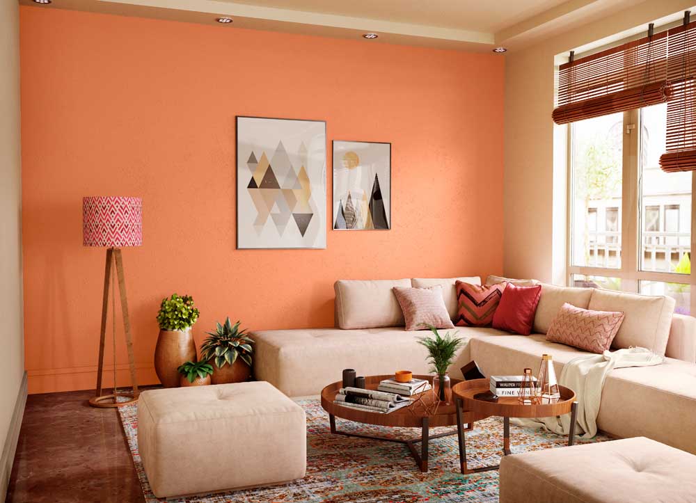 Deccan Earth-N (9920) House Wall Painting Colour | Asian Paints