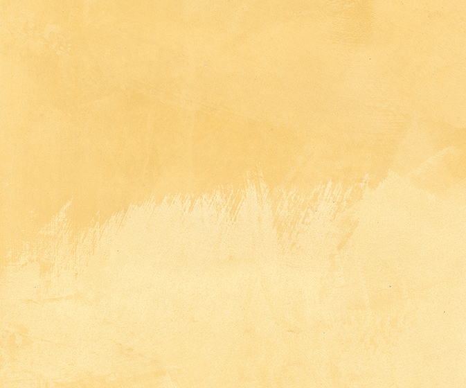 Desert Diary-N (V316) House Wall Painting Colour | Asian Paints