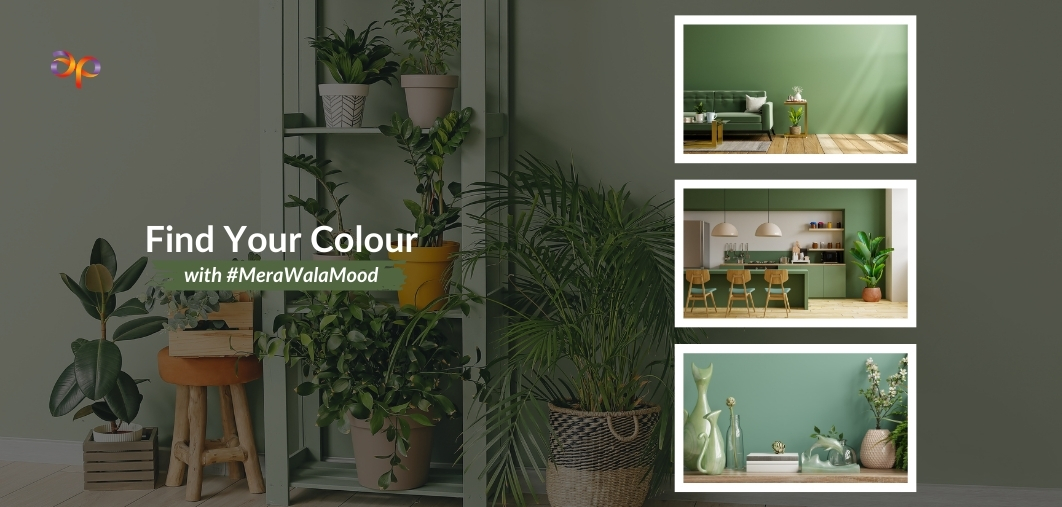 Asian Paints Interior Wall Colors