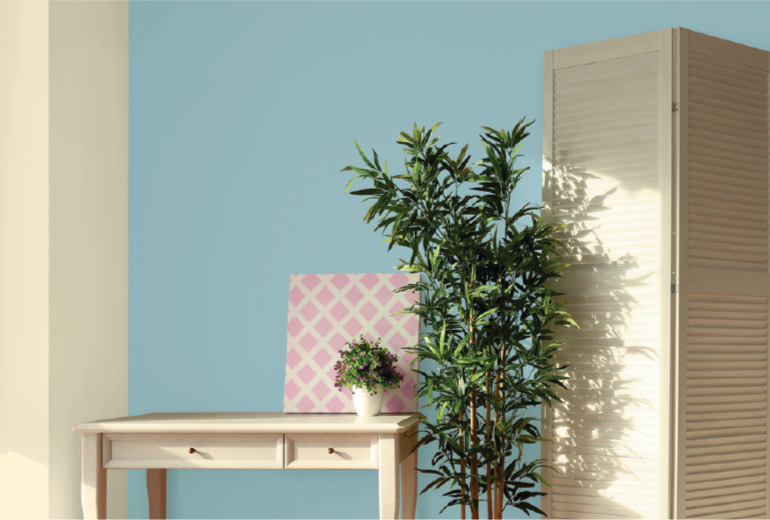 Calm Soothing Palette10