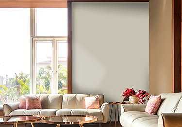 Earthen Wall Colour Combinations for Living Room