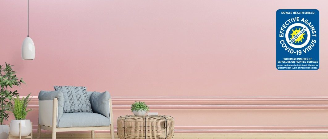 Health and Hygiene - Asian Paints