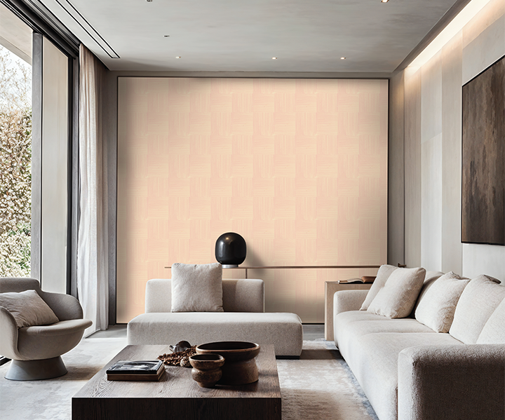 Charpai PLY1001RIM1003-Wall Texture Design- Asian Paints