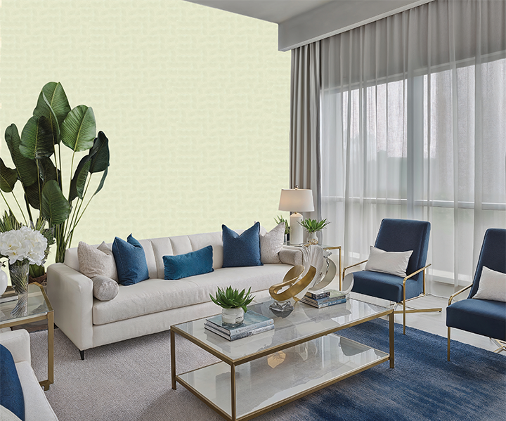 Pom Pom PLY1006RIM1001-Wall Texture Design- Asian Paints