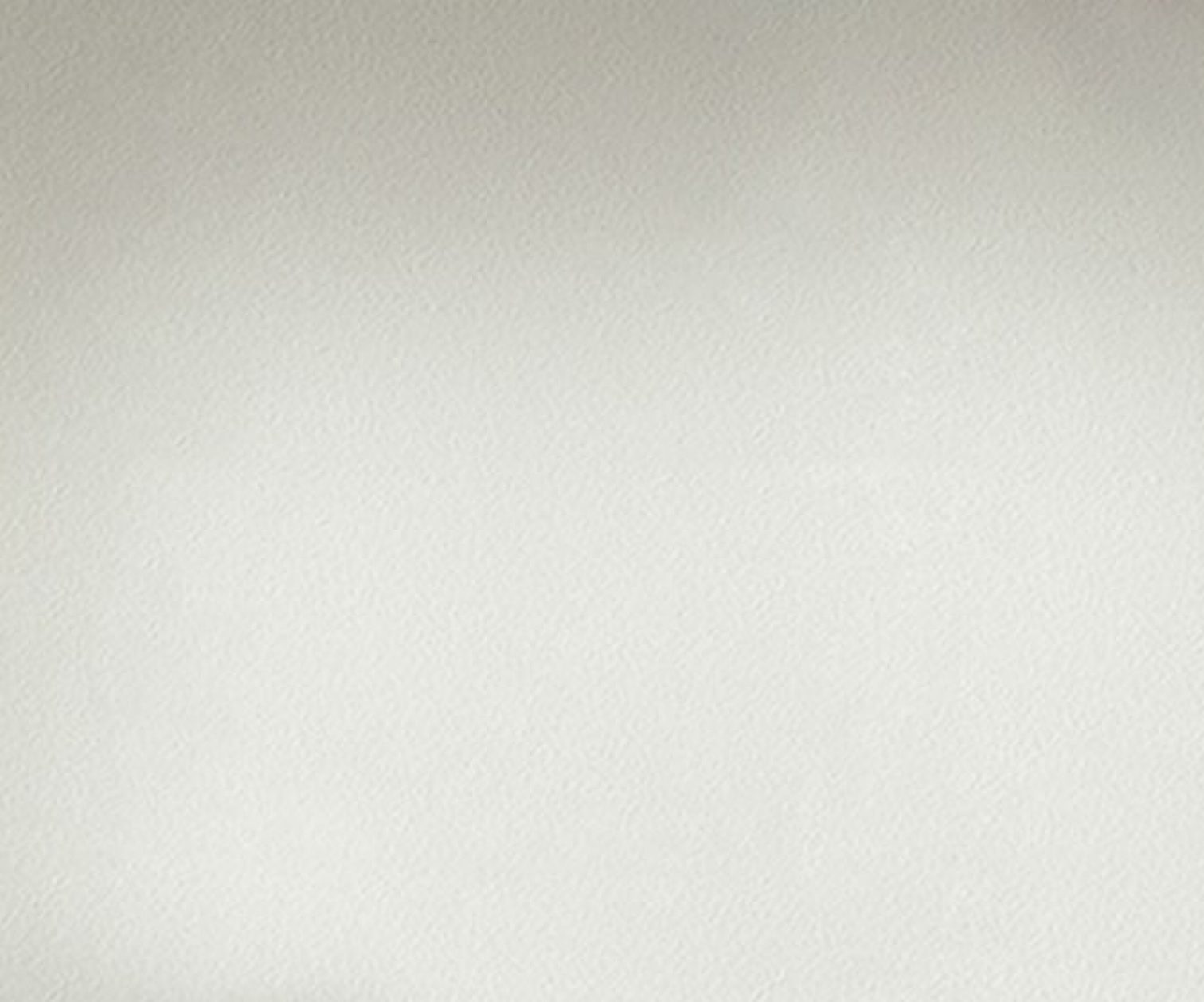 Lithos LXE1005CMB1003 - Wall Texture Design - Asian Paints