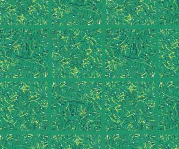 Asian Paints Green Textures