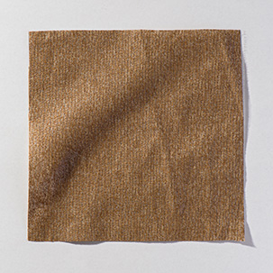 Colour Next - Discover the Latest Colour Trends with Asian Paints