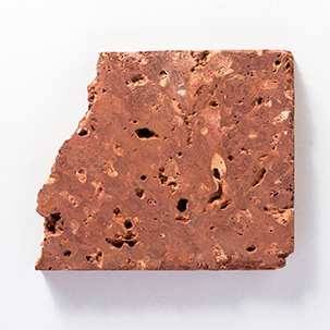 Colour Next - Discover the Latest Colour Trends with Asian Paints